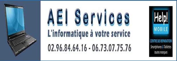 Avis client Assistance Electronique Informatique, entreprise en Bretagne, note 4/5